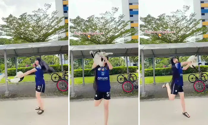 Helper expresses remorse for swinging cat around, shows SPCA clip of ...