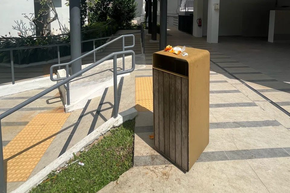 More rampant monkey sightings in Punggol, primatologist calls for ...