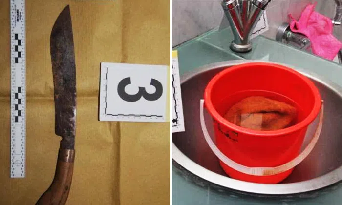 Married man poured acid on lover and slashed her with parang, then took ...