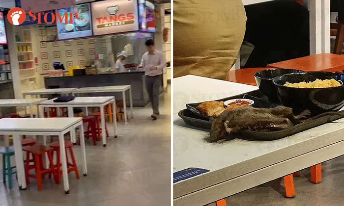 Stomper visits Tangs Market after rat fell onto diner's food: 'It's the ...