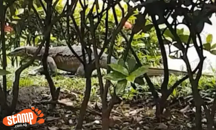 Here's something you don't normally see at a coffeeshop: A monitor ...