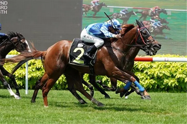 Ocean Jupiter could get lucky this time round | STOMP