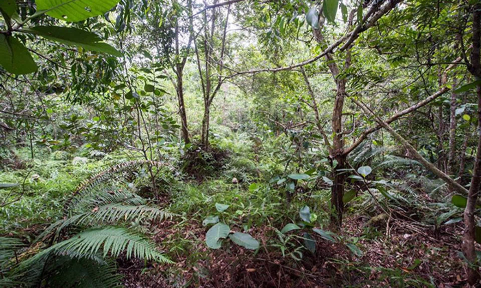 Can you spot all 12 camouflaged soldiers in this photo? | STOMP