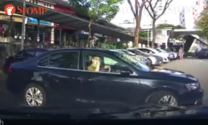 Volkswagen driver shows middle finger and hand gesture even though it's ...