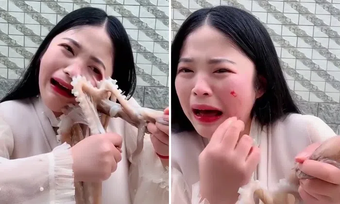 Vlogger tries to eat live octopus -- but gets it stuck on her face ...