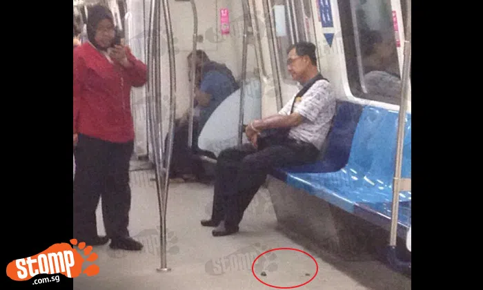 Is that poop on the train? | STOMP