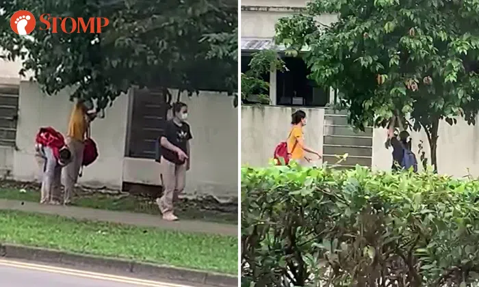 Women go fruit-picking by the roadside in Geylang | STOMP