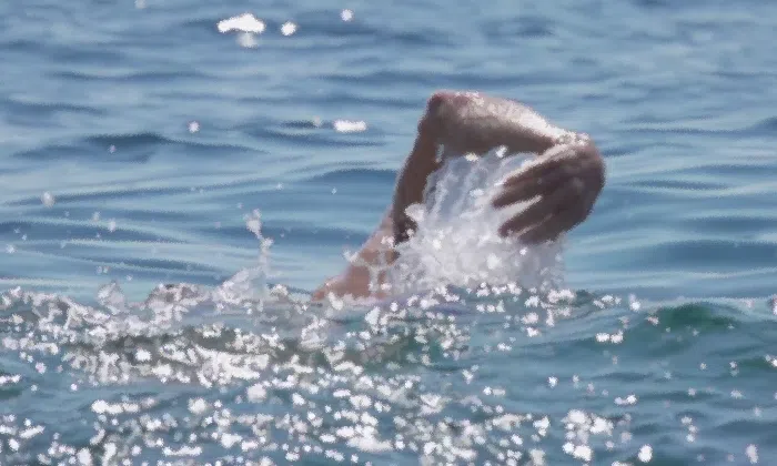 'Floating object' at Woodlands Waterfront turns out to be swimmer, who ...
