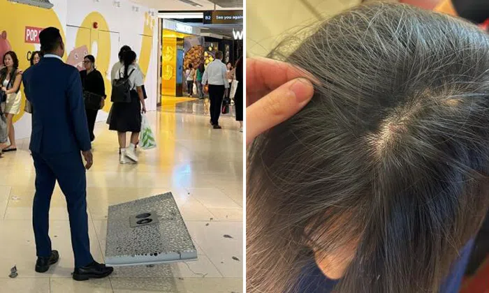 Woman hit on the head by falling ceiling panel at Ion Orchard | STOMP