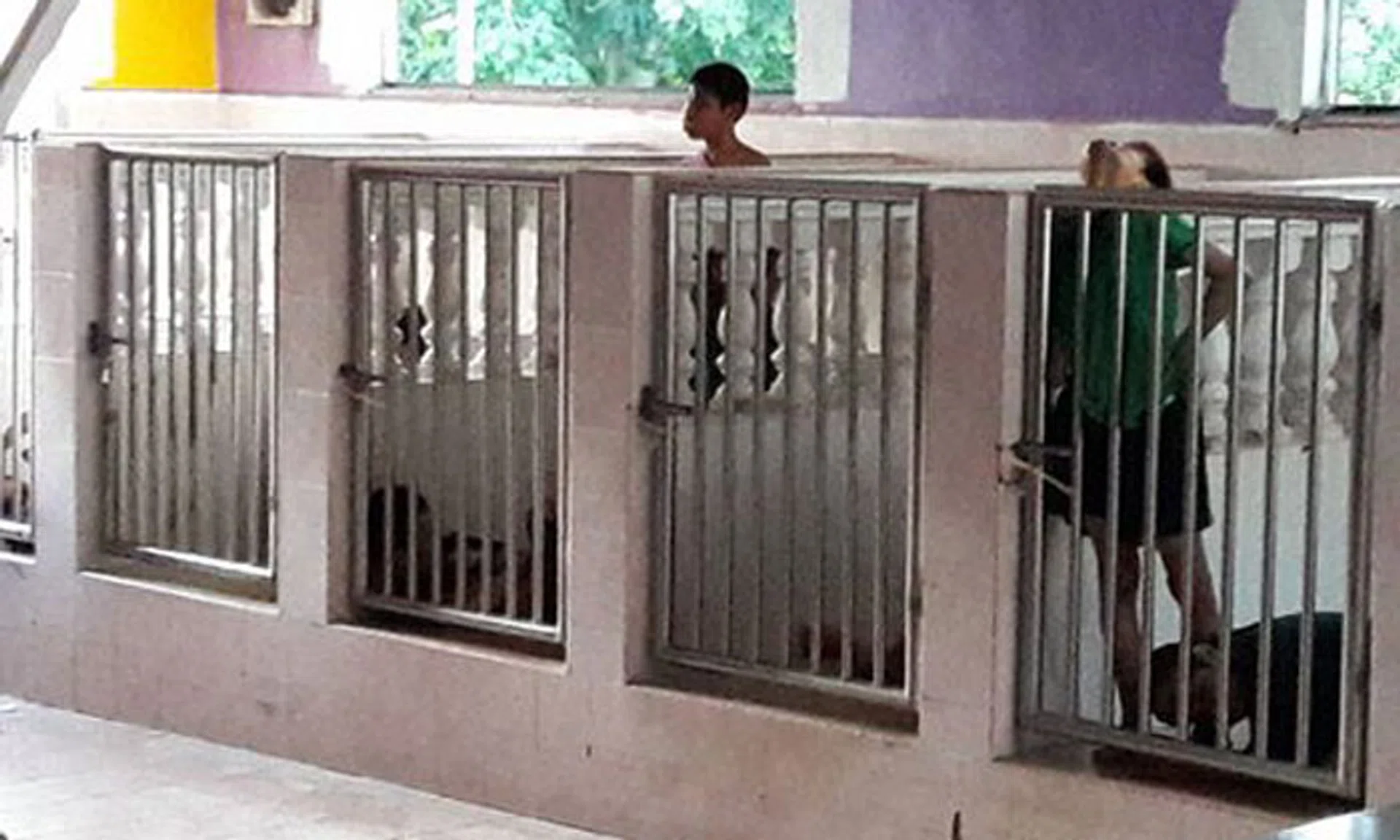 Malaysian girl discovers disabled kids locked up in cages like animals ...
