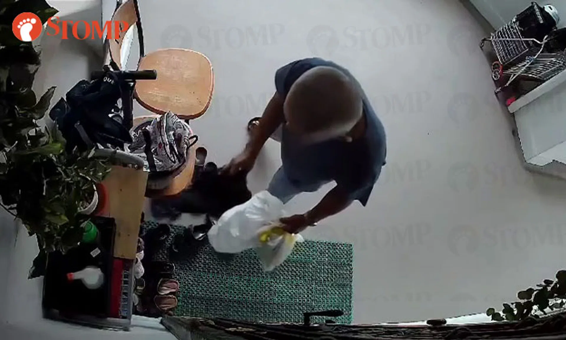 Man grabs $250 Adidas shoes from outside..., Latest News - STOMP