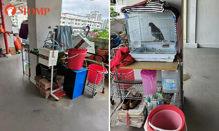 Haig Road residents continue to clutter corridor with items even after ...