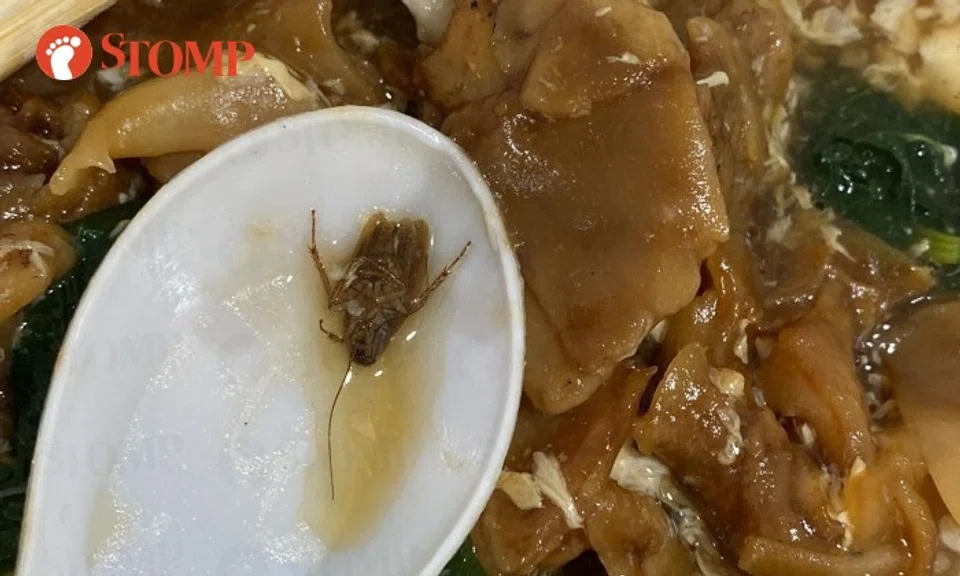 'Utterly disgusting' cooked cockroach found in hor fun from Clementi ...