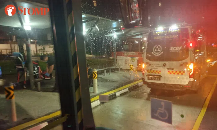 Elderly man suffers minor injuries after falling from bench at ...