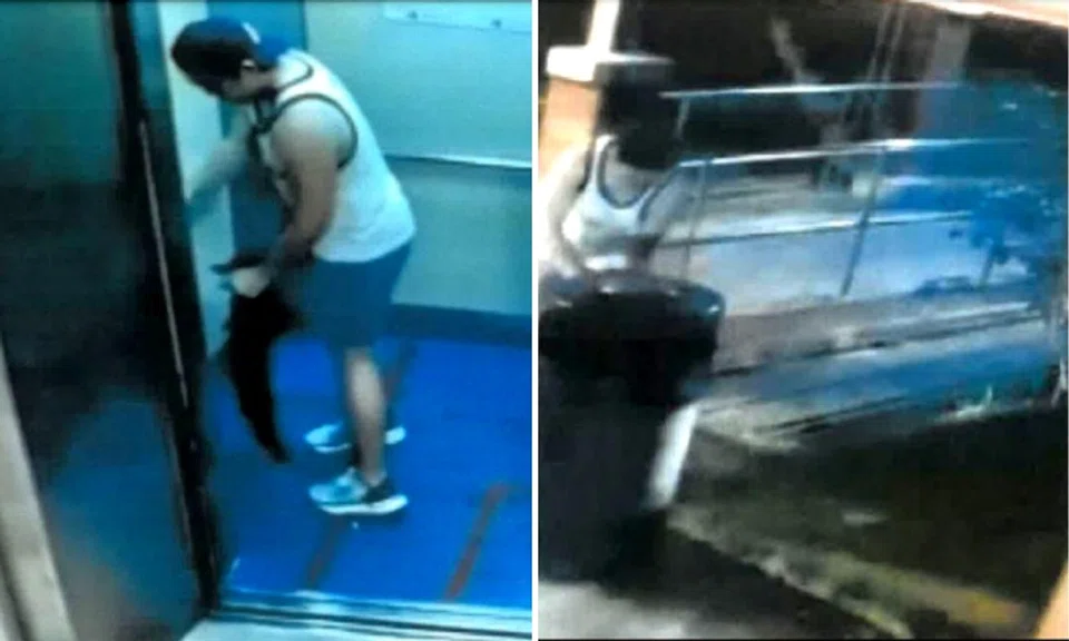 Cat abuser who went from kicking cats to throwing them off HDB blocks ...