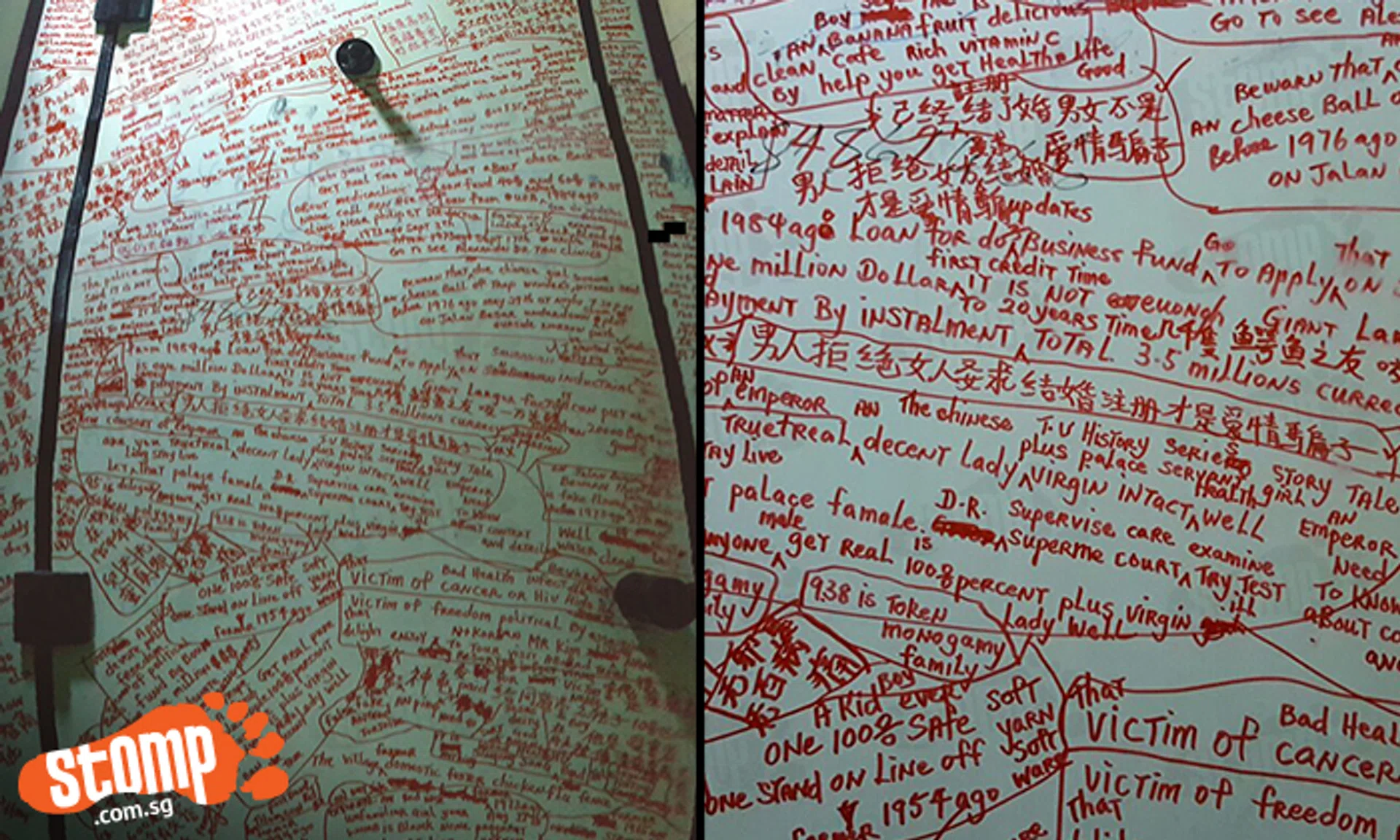 How long did this crazy fella take to vandalise toilet doors at The ...