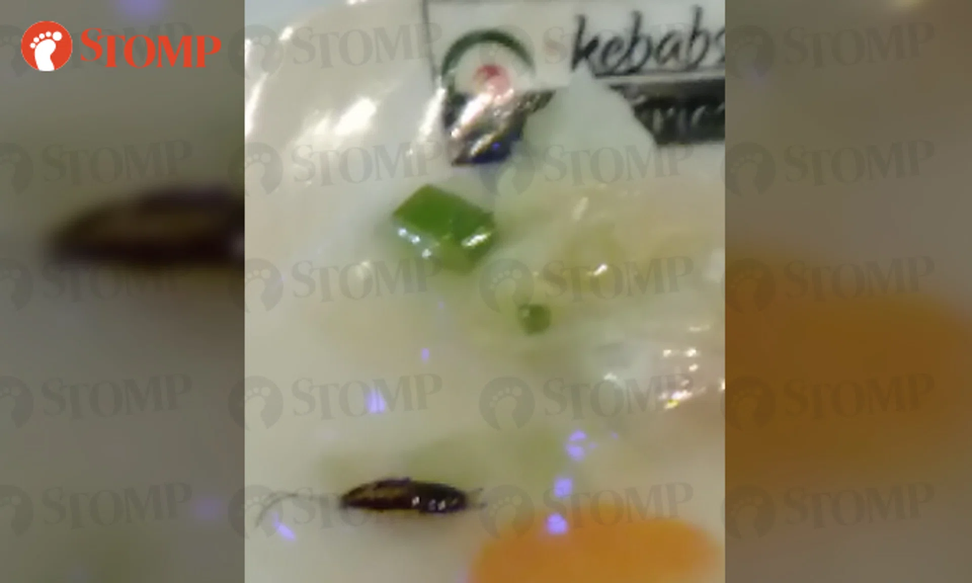 Mustafa Centre restaurant apologises for cockroach found in 5-year-old ...