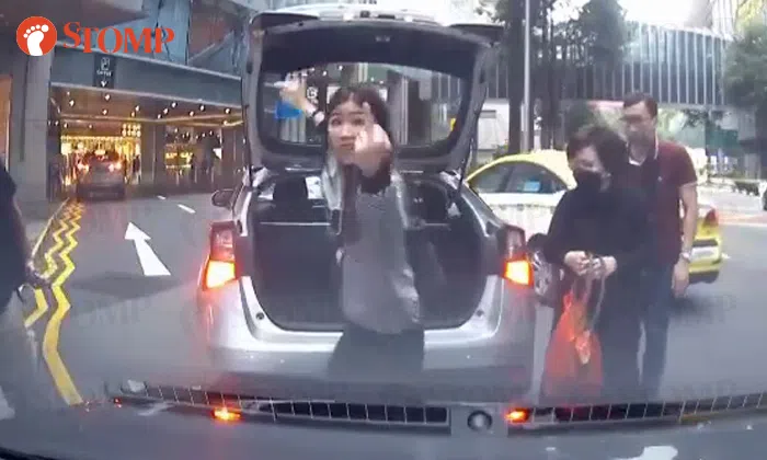 Woman flashes middle finger after getting honked at for blocking ...