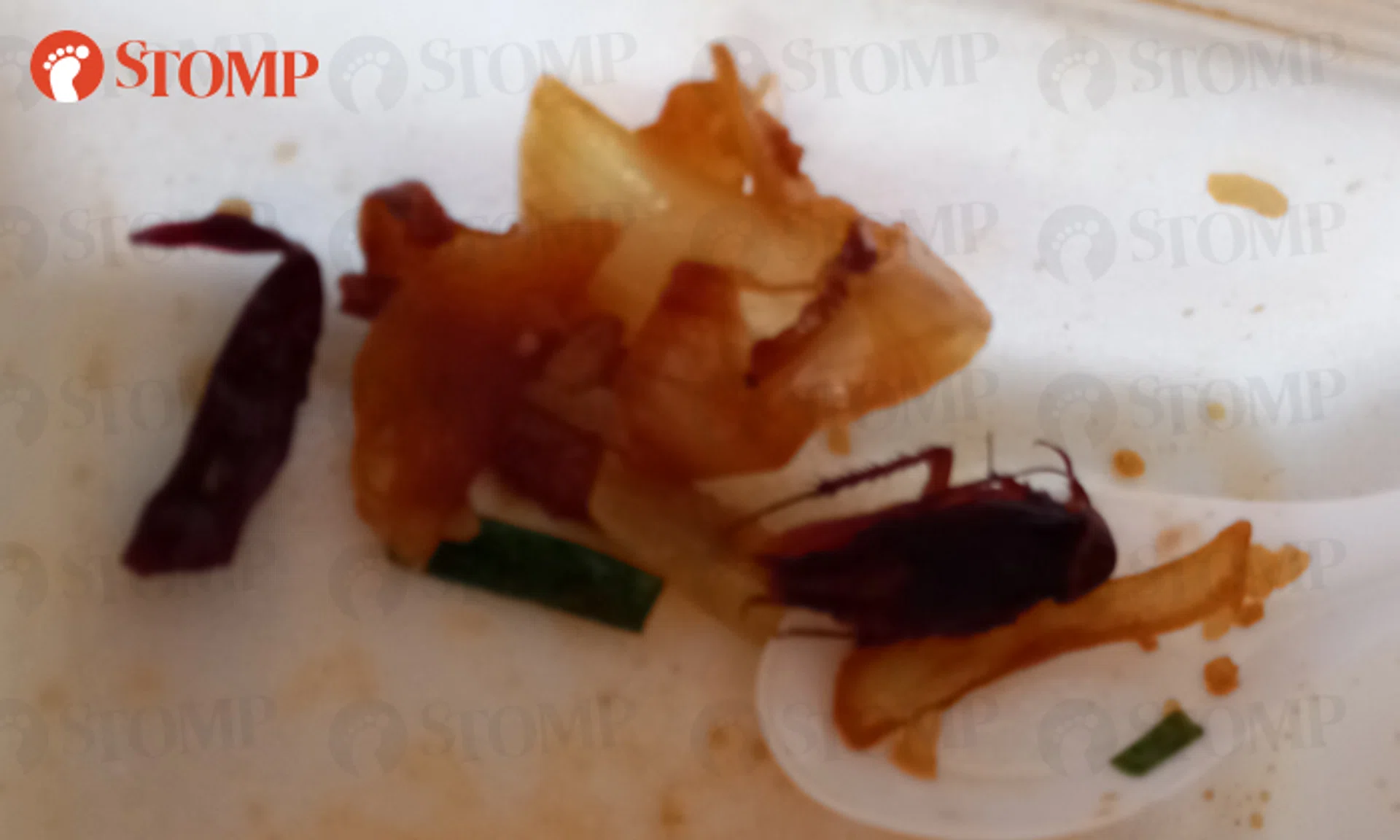 Woman panics after finding cockroach in kway..., Latest News - STOMP