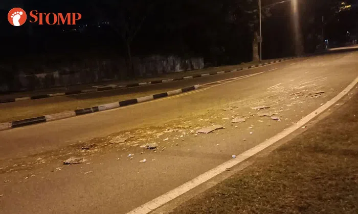 Look at this egg-straordinary mess along Pioneer Road | STOMP
