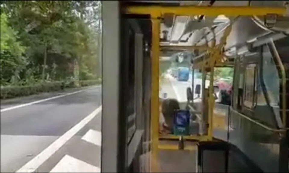 Bus driver reverses bus after overshooting onto BKE, SMRT investigating ...