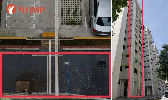 Bird poop 'attack' at Hougang block 'possible case of high-rise bird ...