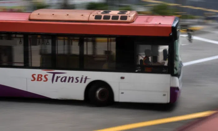 Passenger flung forward when bus stops suddenly, driver could've 'shown ...