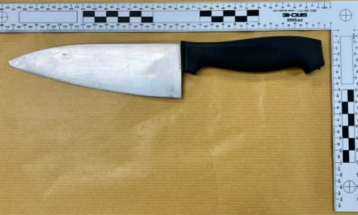 Stranger arrested after allegedly attacking man and woman with knife at ...