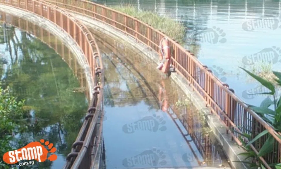 Bridge for pedestrians to walk across lake gets flooded at MacRitchie ...