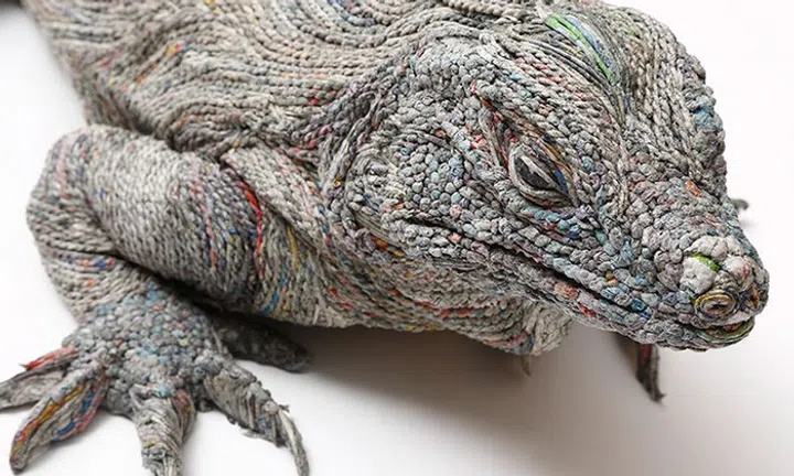 This lizard's appearance may be weird, until you take a closer look | STOMP