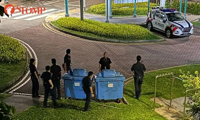 19-year-old girl sits on ledge at Commonwealth block during wee hours ...