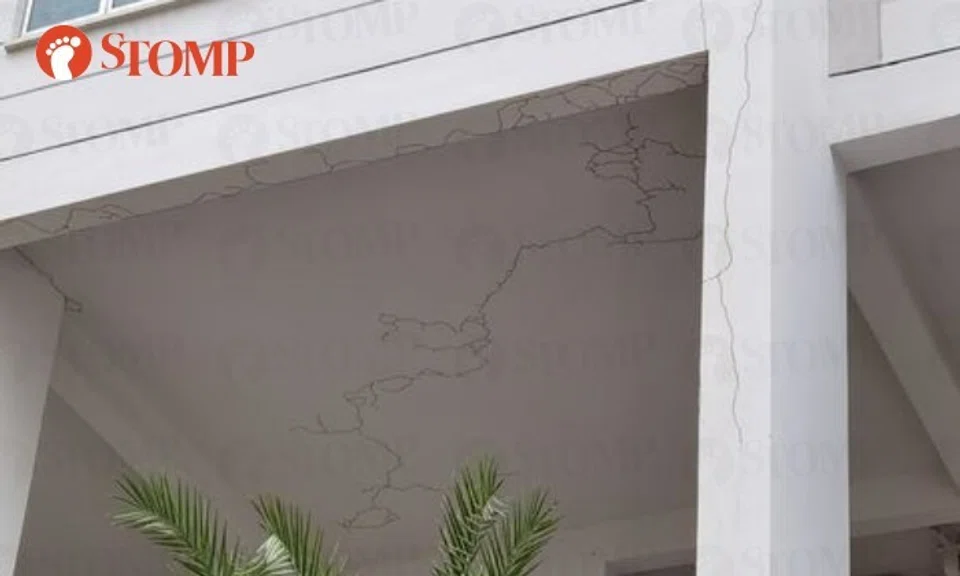 Insect trails on ceiling at Punggol Place void deck inactive after pest ...