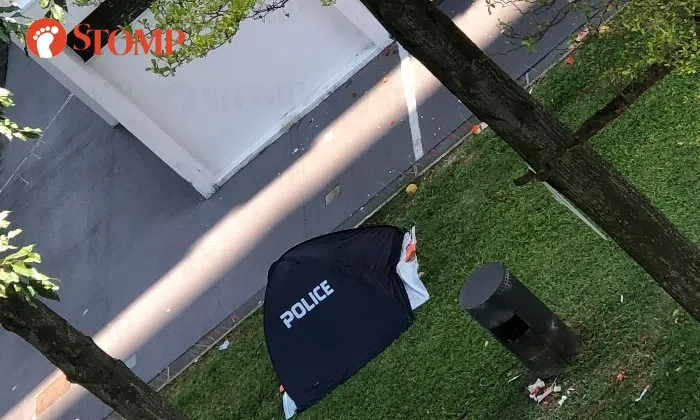 29-year-old man found motionless at foot of Marsiling block, pronounced ...