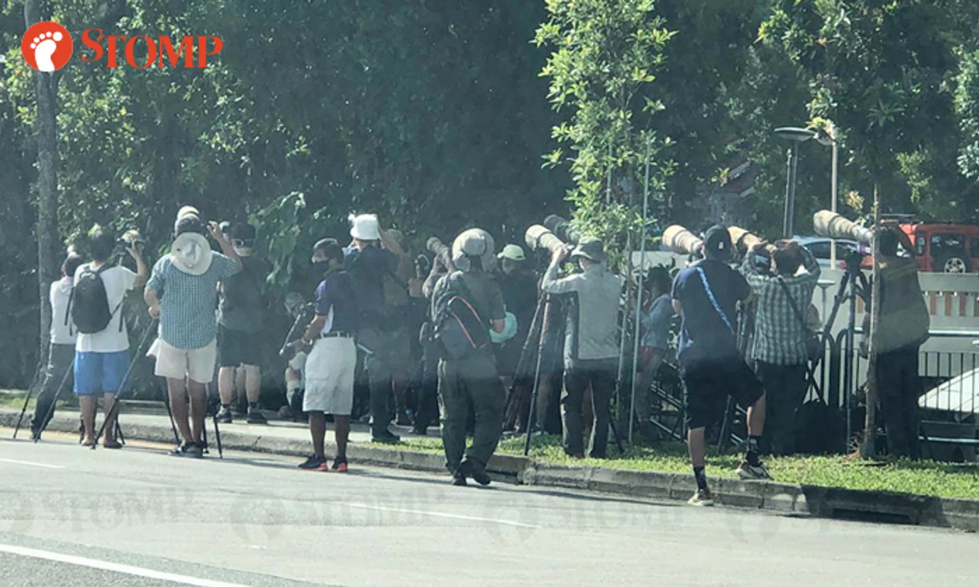 Safe distancing flies out of the window as crowd gathers for owl at Sin ...