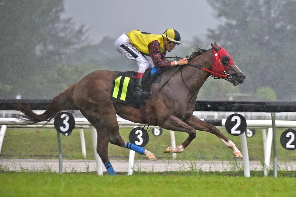 Tan returns to winner's circle at Malaysia comeback | STOMP