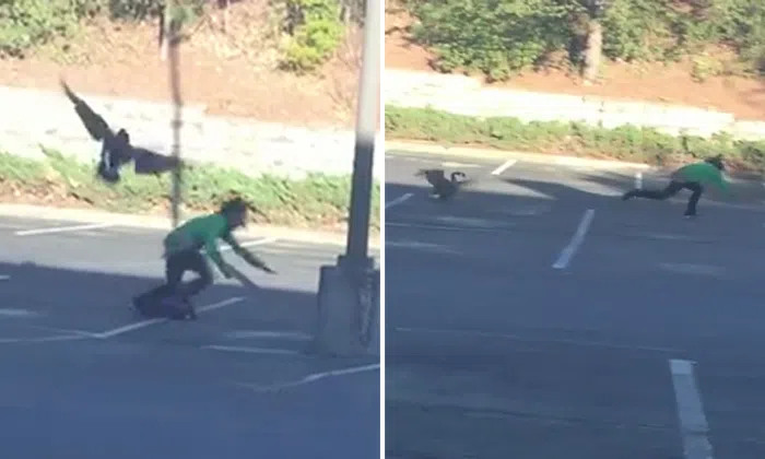 Man thinks it's funny to taunt goose -- then ends up running for his ...