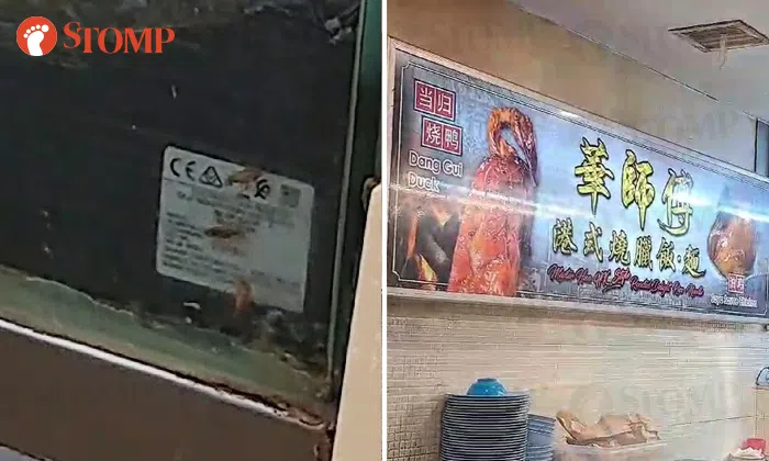 'Loads of cockroaches' seen at Bras Basah Complex stall, SFA looking ...