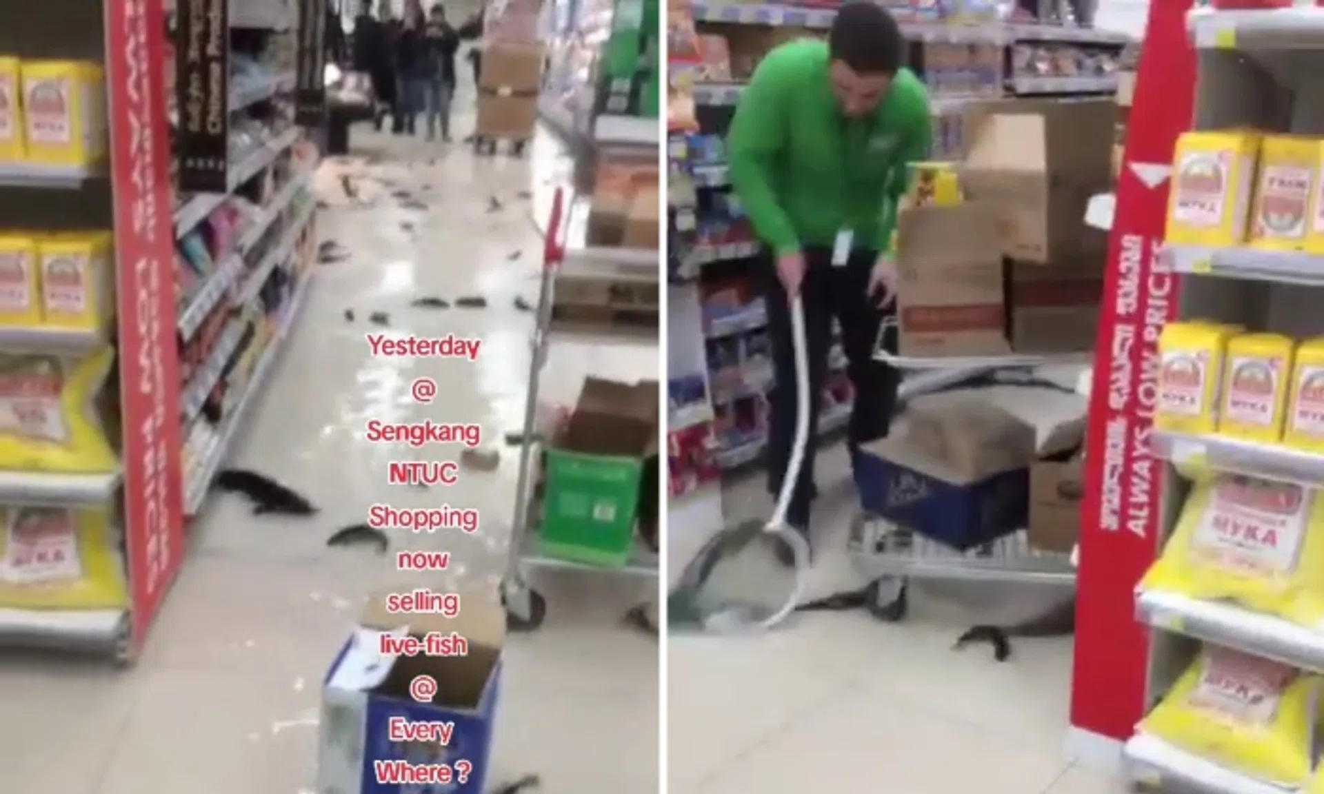 Live fish on flooded supermarket floor in Sengkang? Sounds fishy | STOMP