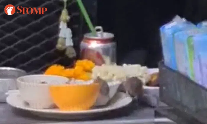 'Mickey and Minnie' seen eating offerings at Golden Mile Complex | STOMP