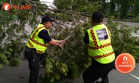 Certis Cisco officers save the day yet again, this time clearing fallen ...