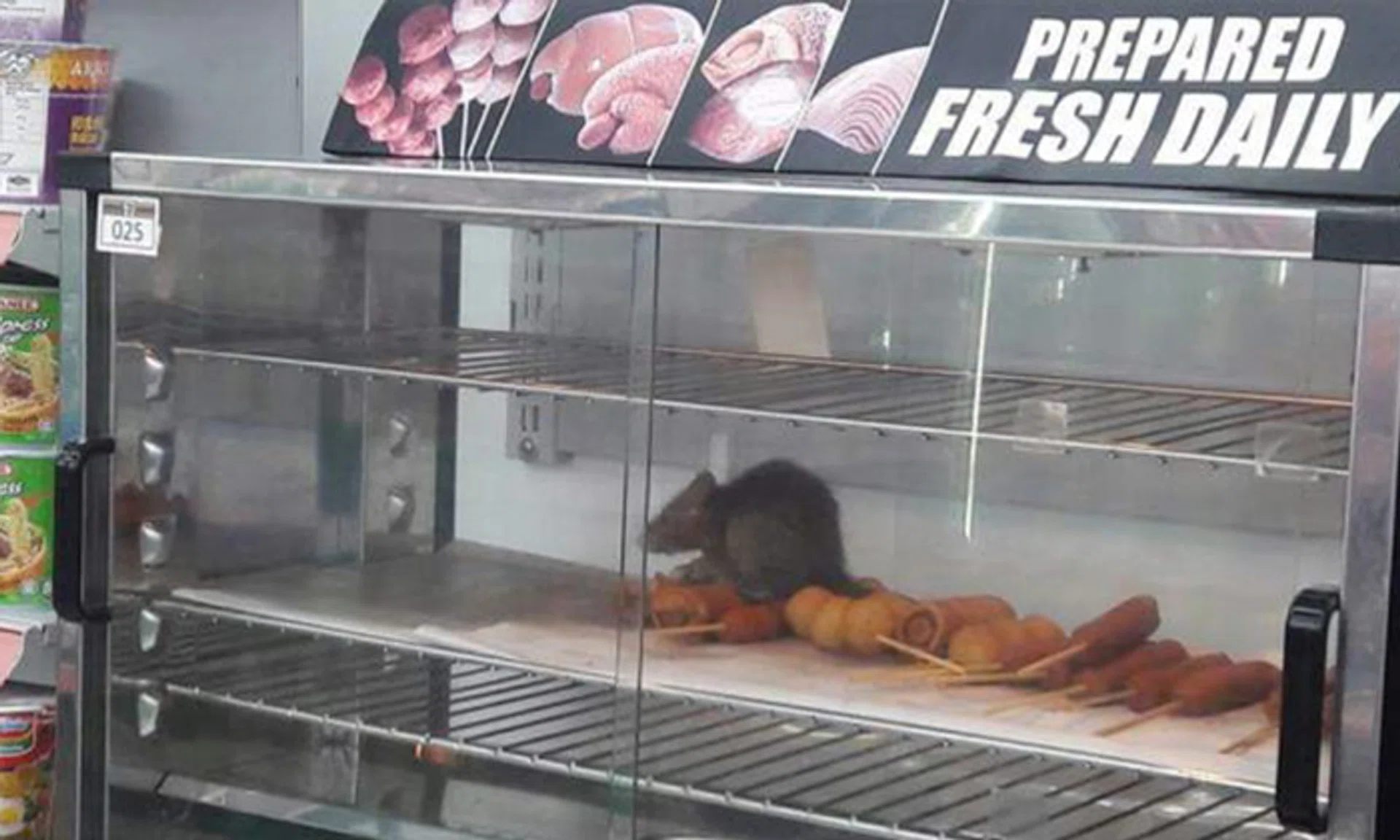 Ewww! Photo of rat in Malaysian convenience store's food warmer goes ...