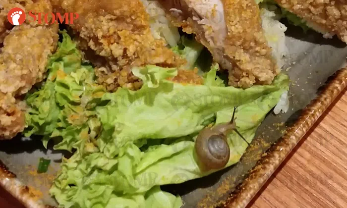 Yikes! Video of live snail in fried rice from Tampines Mall restaurant ...