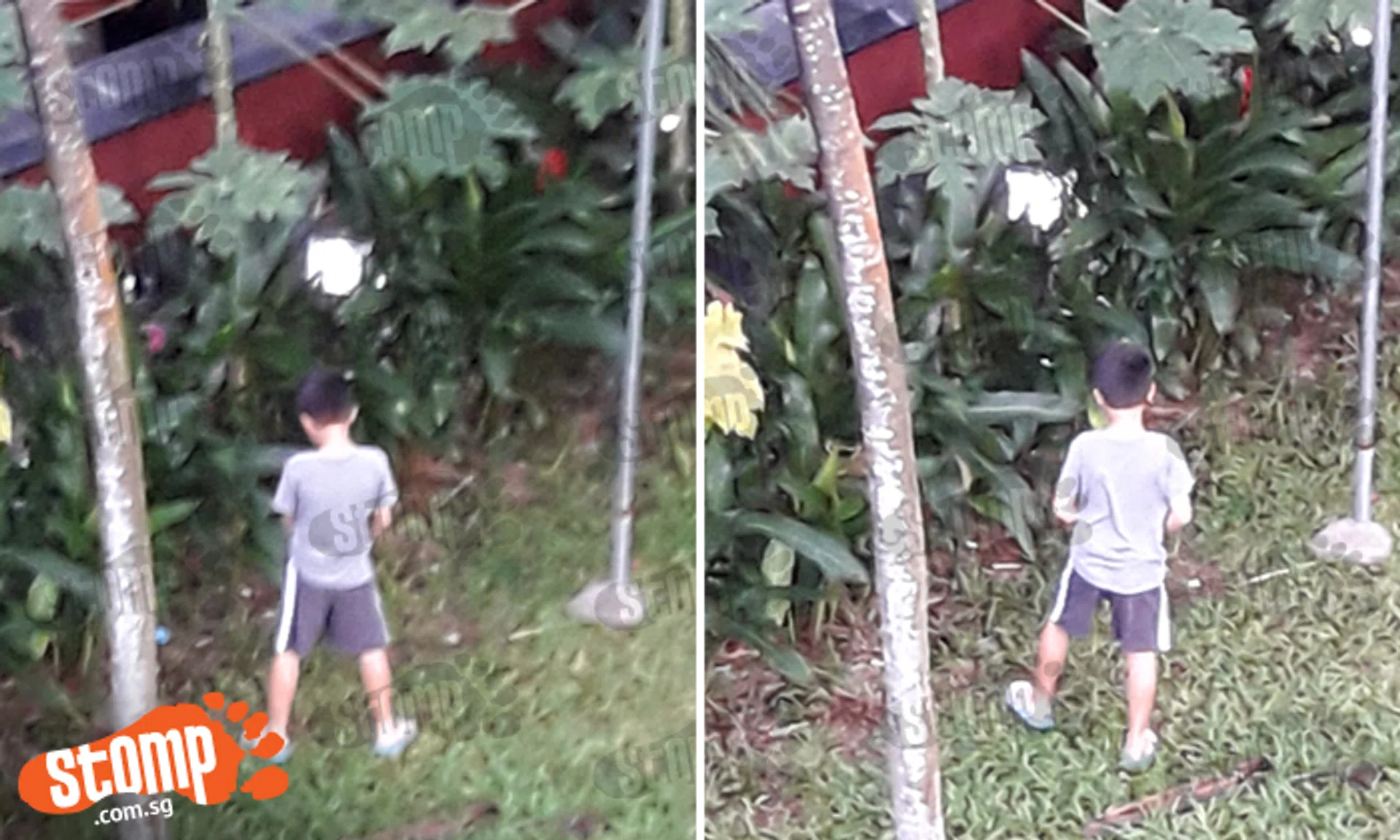 Boy seen relieving himself in full view of other diners beside ...