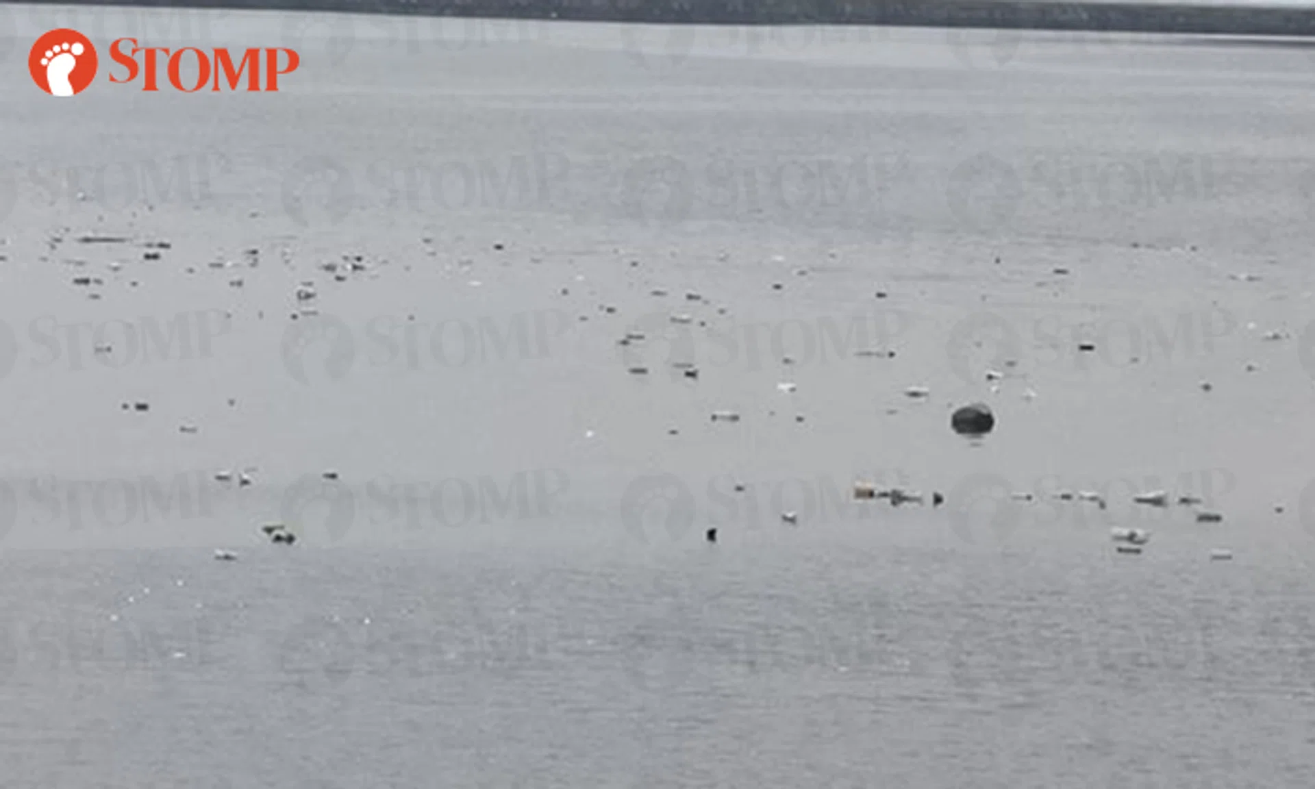 Stomper appalled to find rubbish floating in water at Woodlands ...
