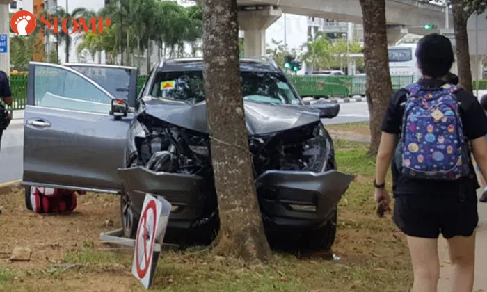 Female driver of P-plate car crashes into tree opposite West Spring ...