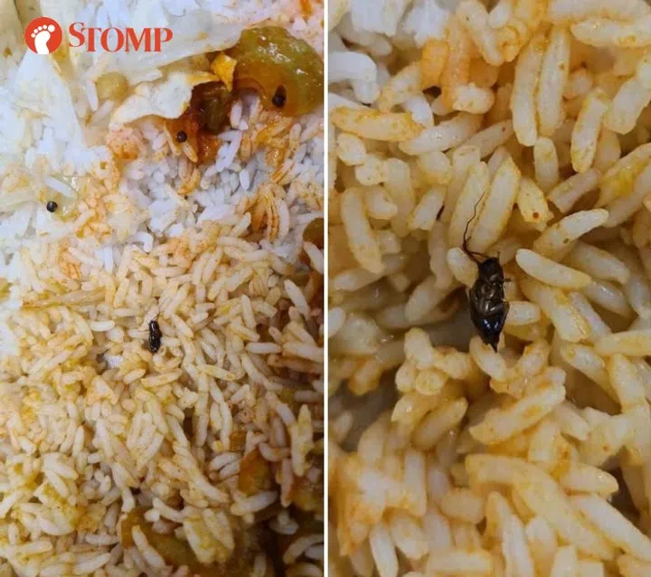 Man sent pics of cockroach in his food to Bedok stall worker who asks ...