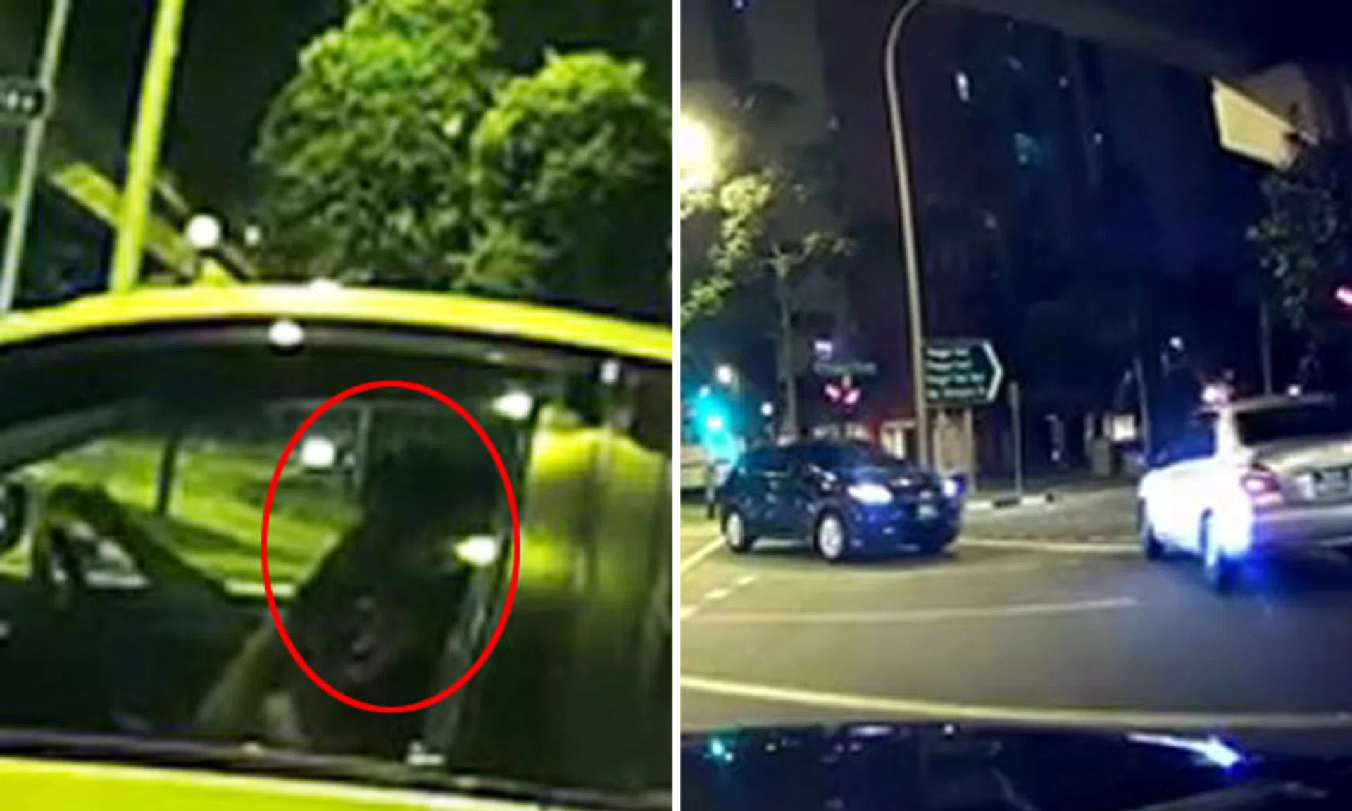 This is why you shouldn't use your phone while driving | STOMP