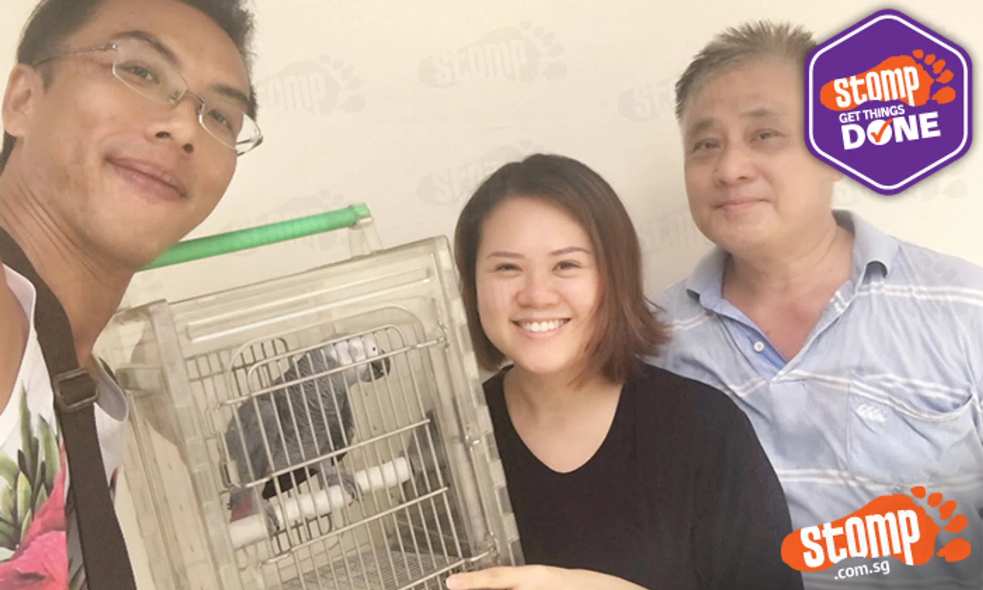 Stomp helps woman reunite with lost African Grey parrot | STOMP
