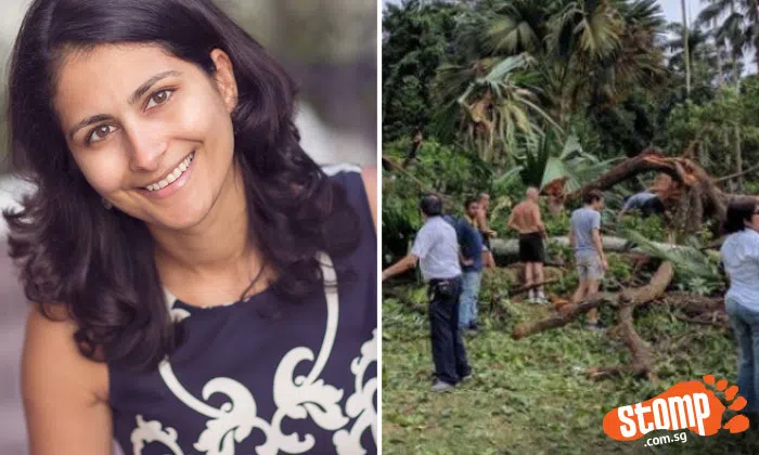 1 dead and 4 injured at Botanic Gardens: Deceased was 'inspirational ...