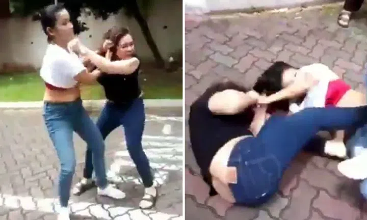Women punch, kick and grab at each other's hair in catfight | STOMP